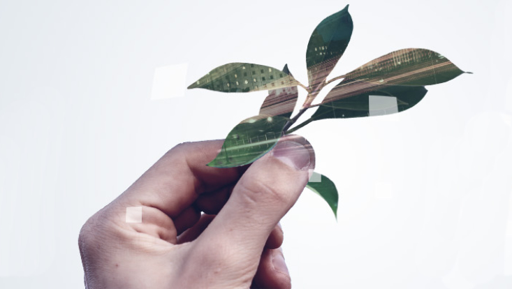 Call for Presentations: “Climate-friendly mobility” : PIER PLUS